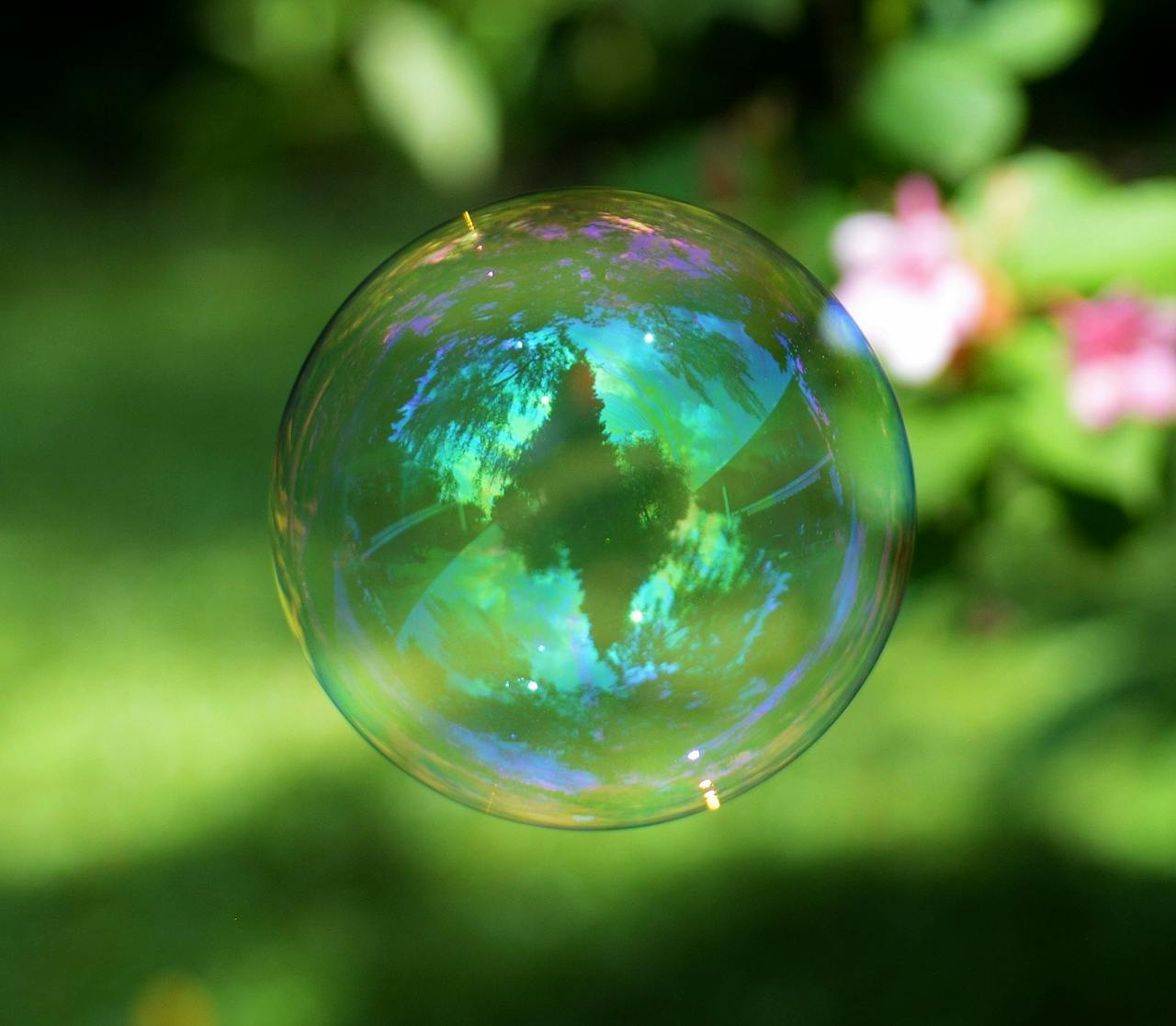A Guide to Mental Wellness for OCD: 5 Powerful I-CBT for OCD Strategies ...